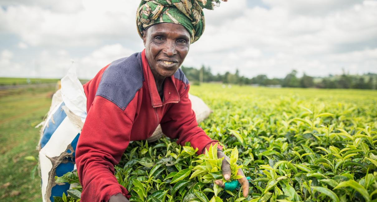 Voices of Change: Enock from Kericho County, Kenya | Planet Zero | Tel ...